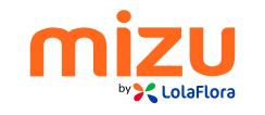 Mizu - International Flower Delivery Service