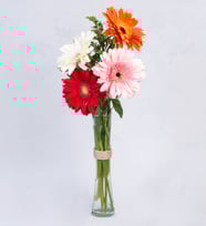 Florería en Mérida - Flores a domicilio con LolaFlora