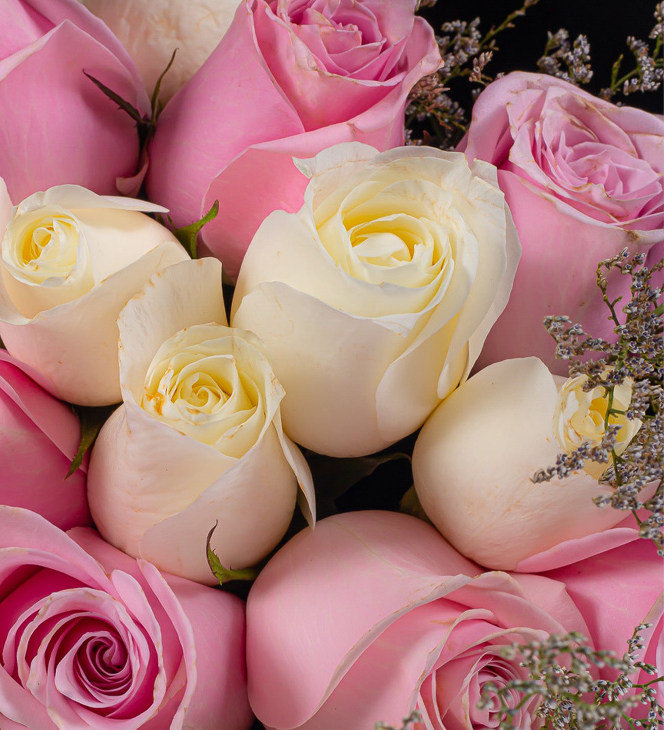 Arreglos De Rosas Rosadas Y Blancas