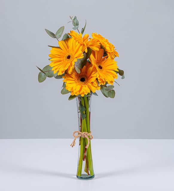 5 Gerberas Amarillas - Flores a Domicilio - LolaFlora