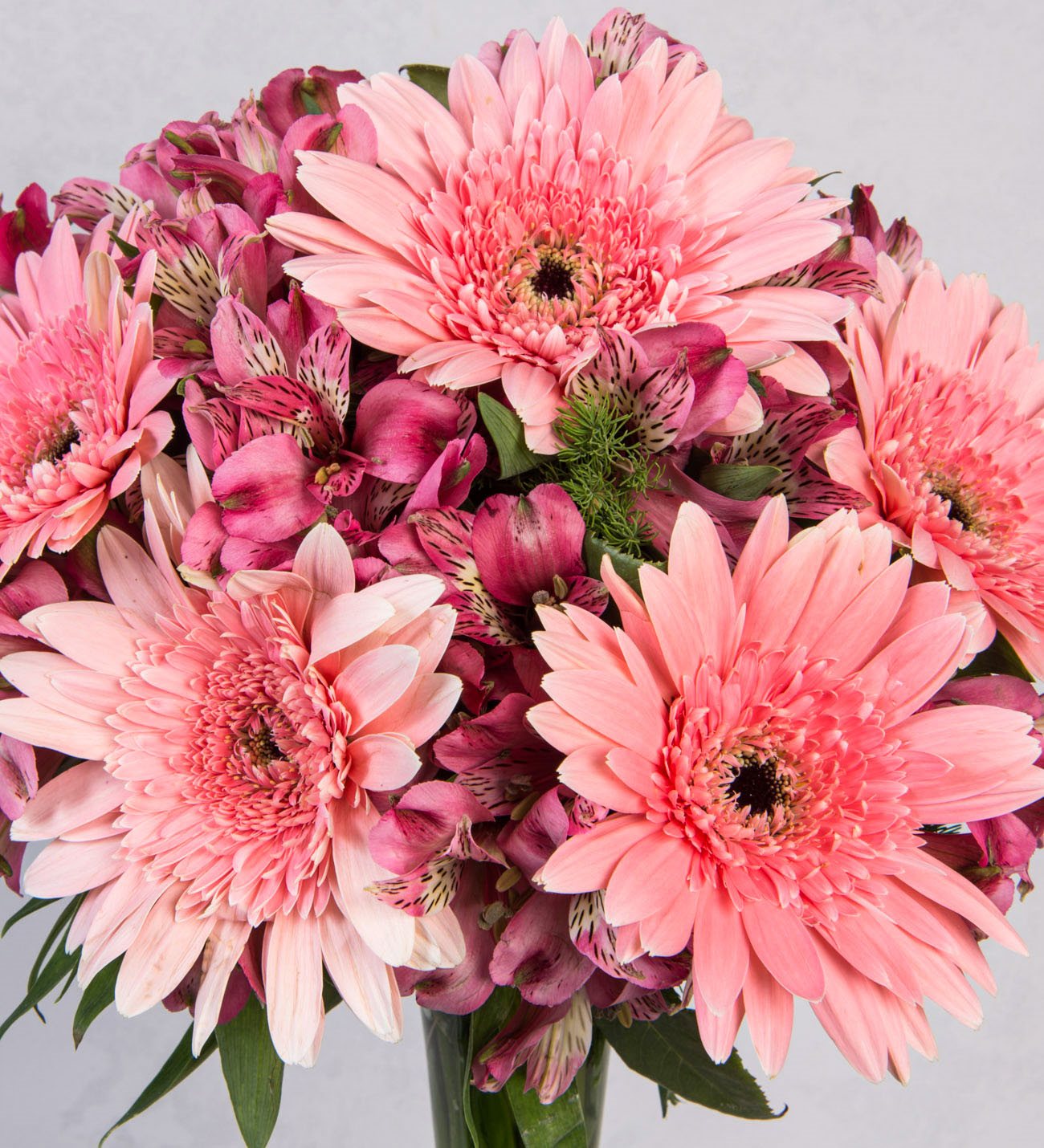 Light Pink Gerbera Daisy Bouquet