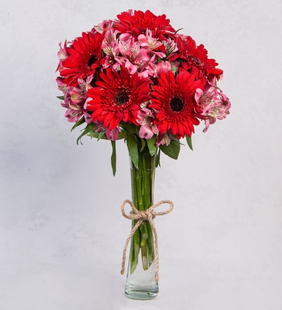 Gerberas Roja y Astromelias Rosas - A Domicilio - LolaFlora