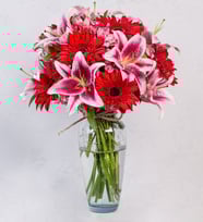 Florerías en Celaya - Flores a domicilio con LolaFlora