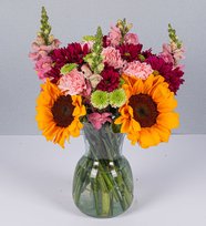 Flor de perrito: la más colorida y bella selección ¡Compra ahora!