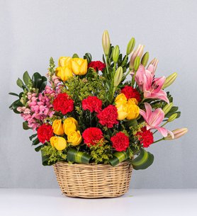 Flor de perrito: la más colorida y bella selección ¡Compra ahora!