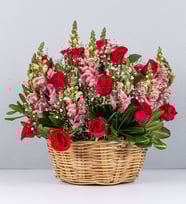 Flor de perrito: la más colorida y bella selección ¡Compra ahora!