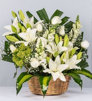 Florerías en Celaya - Flores a domicilio con LolaFlora