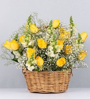 Flor de perrito: la más colorida y bella selección ¡Compra ahora!