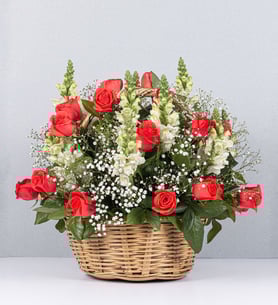 Flor de perrito: la más colorida y bella selección ¡Compra ahora!