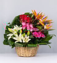 Flor de perrito: la más colorida y bella selección ¡Compra ahora!