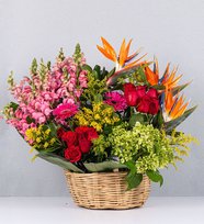 Flor de perrito: la más colorida y bella selección ¡Compra ahora!