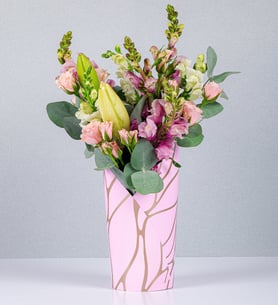 Flor de perrito: la más colorida y bella selección ¡Compra ahora!