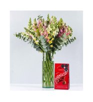 Flor de perrito: la más colorida y bella selección ¡Compra ahora!