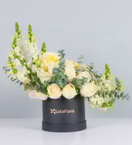 Flor de perrito: la más colorida y bella selección ¡Compra ahora!