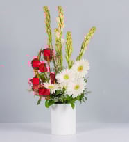 Gerberas: la más colorida y bella selección - LolaFlora