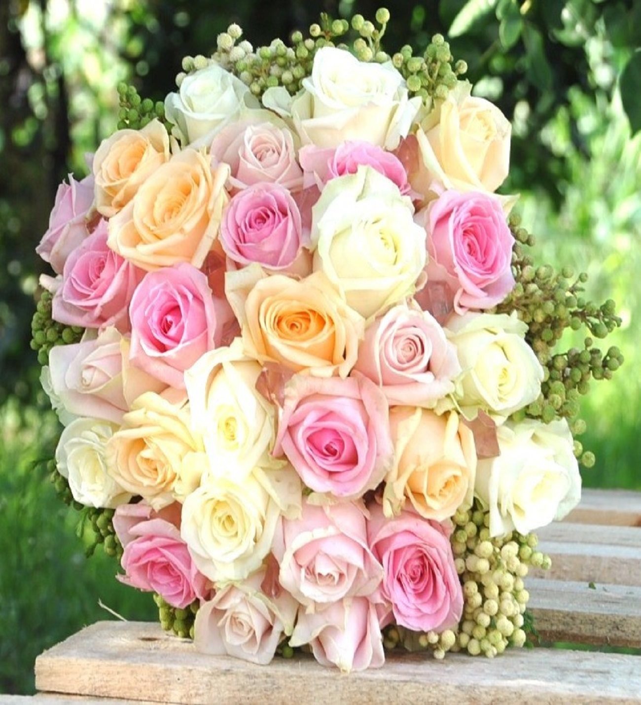 All Colors Of Rose Flowers | Best Flower Site